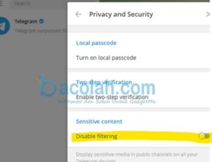 Cara Mengatasi this channel cannot be displayed di Telegram - Bacolah.com