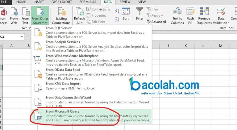 Cara Mengubah File Format JSON ke Excel - Bacolah.com